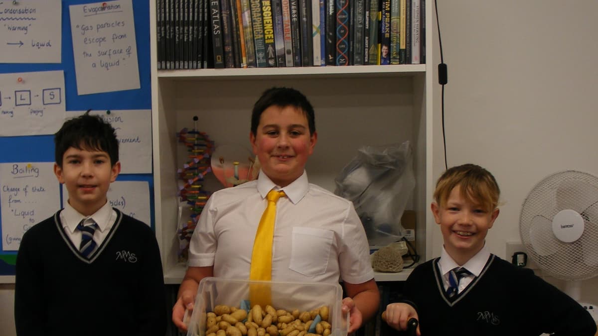 First potato harvest as Minehead Middle School sees fruits of community ...